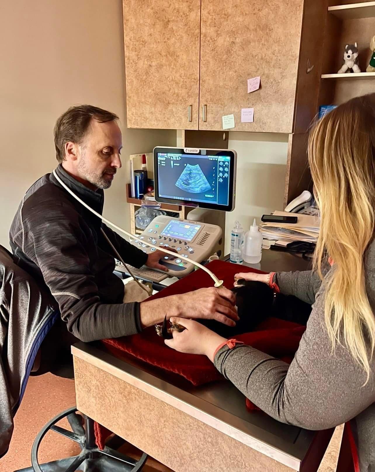 Ultrasonography - Animal Medical Center
